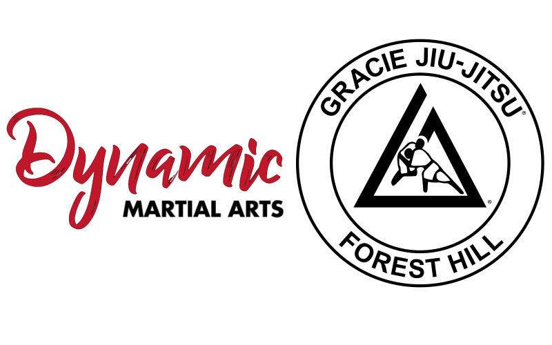website logo – Dynamic Martial Arts